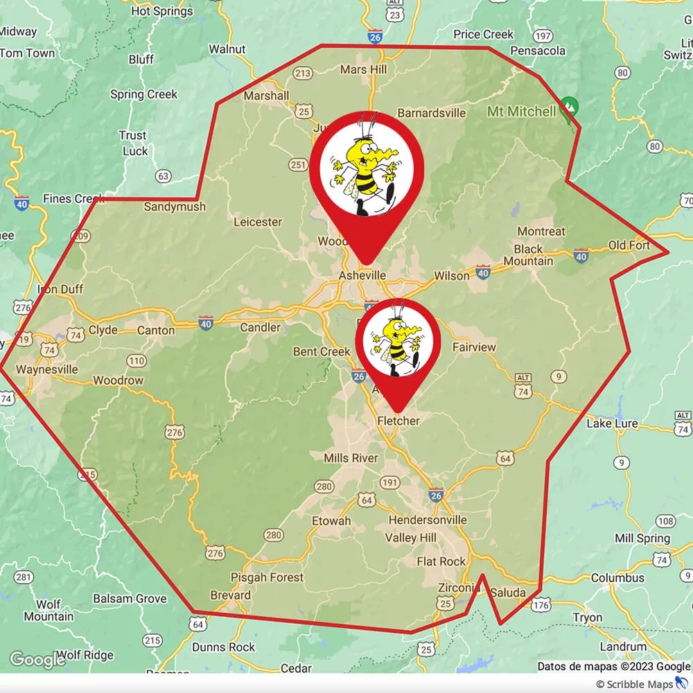 Pest Control Exterminator in Asheville, NC: Termites, Rodents ...